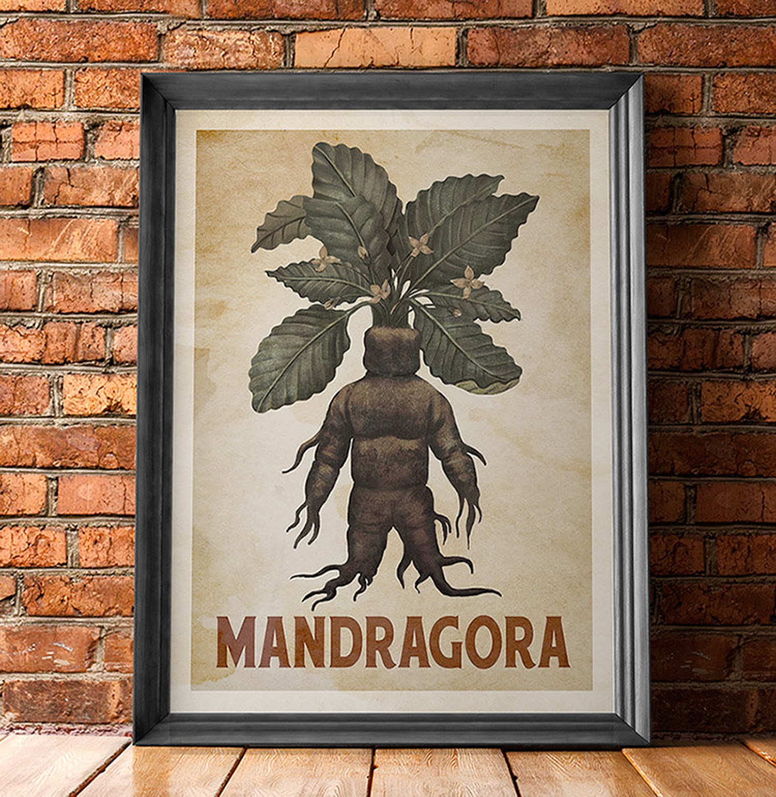 Mandragora (mandrake) Vintage Poster - Retro Kitchen Witchy Wizard Art ...