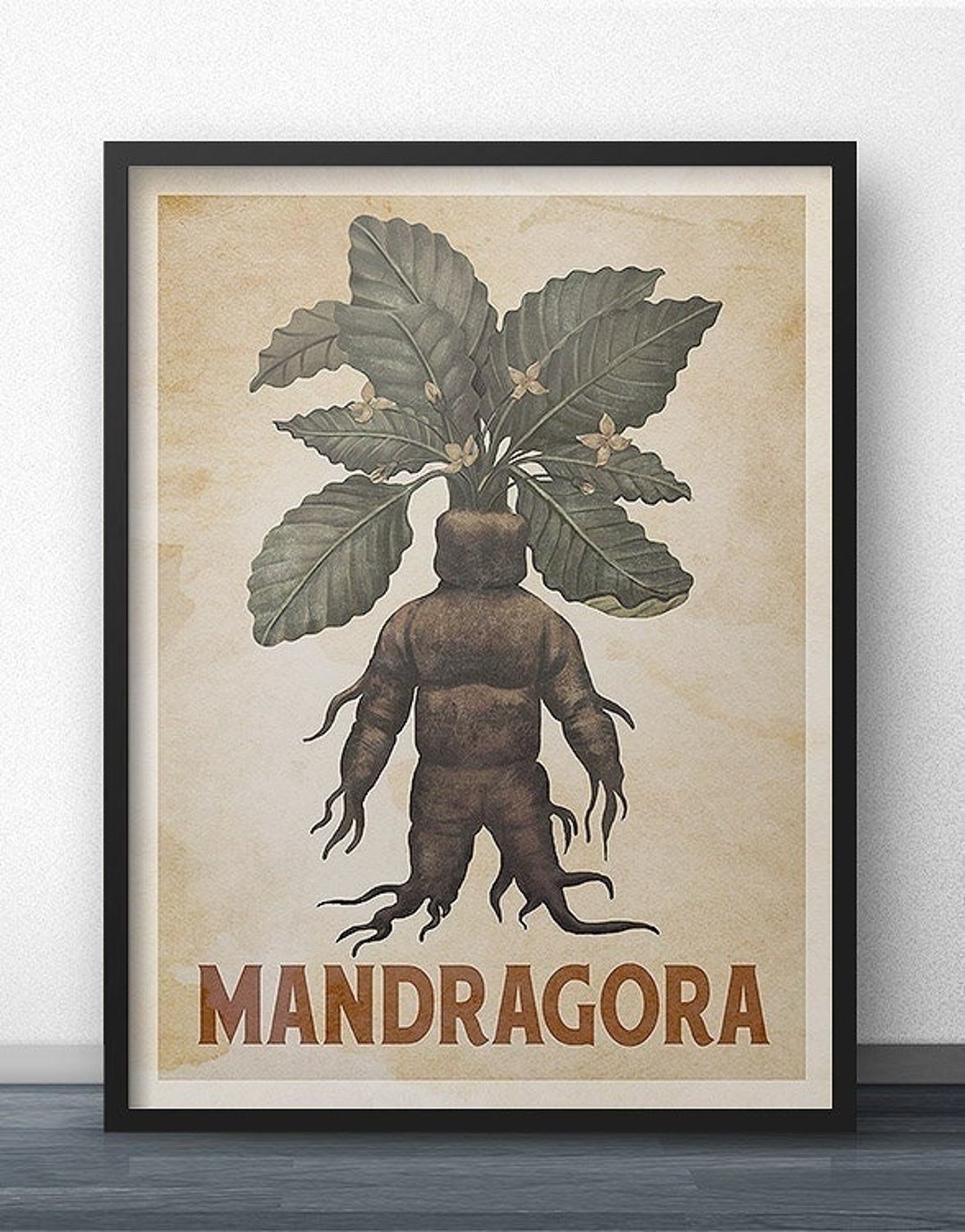Mandragora mandrake Poster Vintage Style Retro Kitchen Witchy Art - Etsy