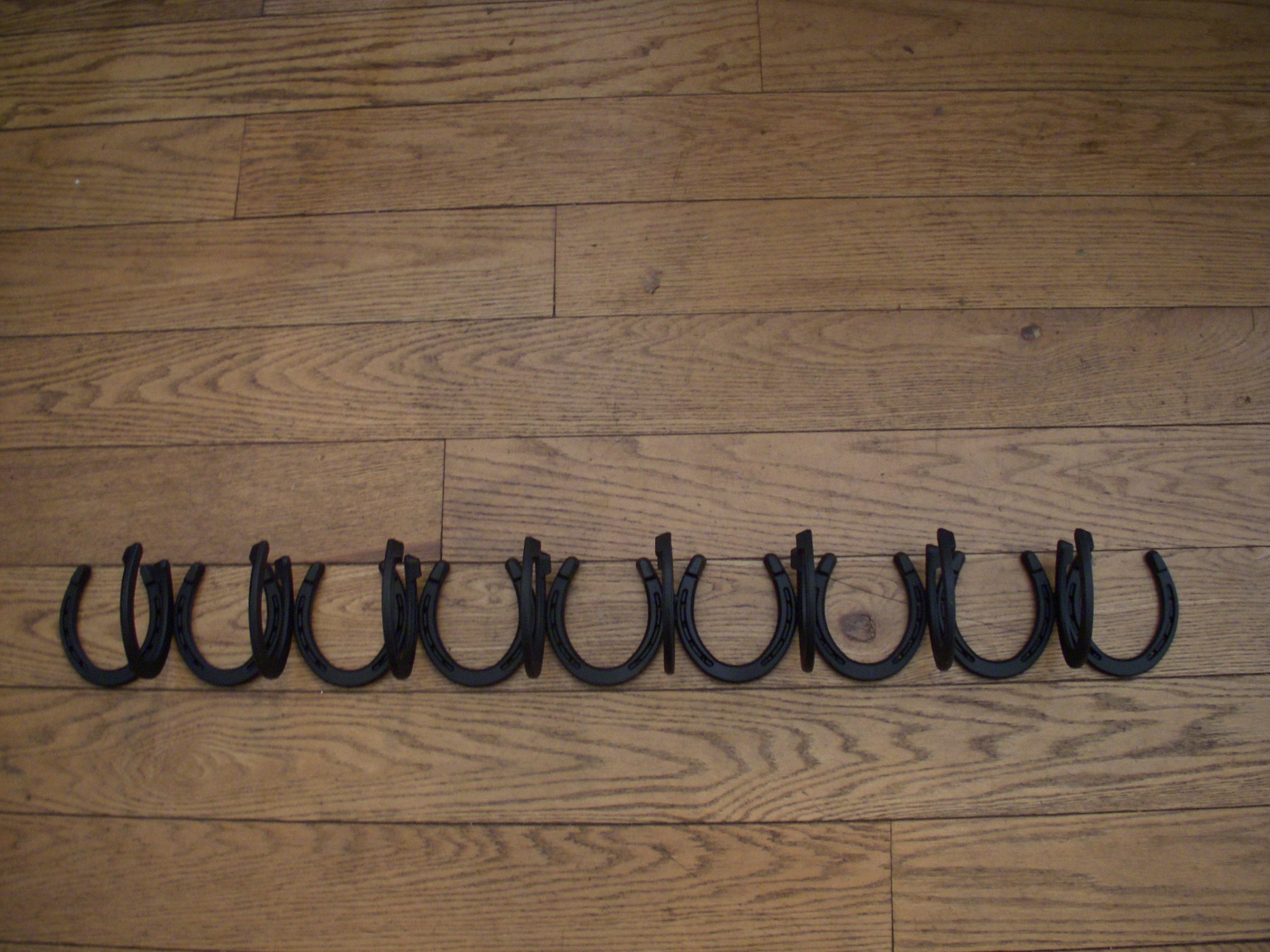 8 Coat Wall Mounted Horseshoe Coat Rack