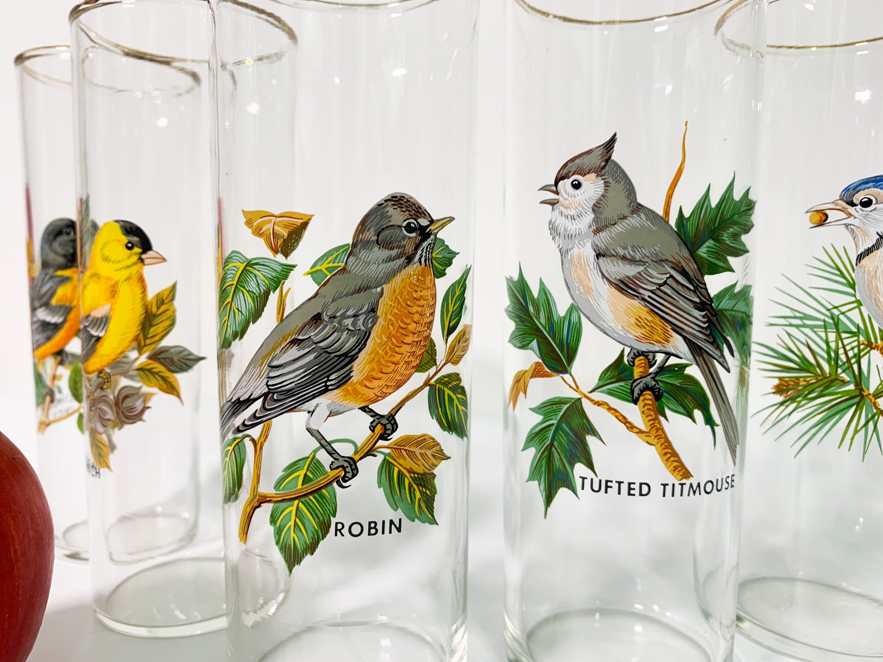Vintage Set 5 Tumblers W Birds And Gold Rim Five Colorful Retro Tall Glasses Mid Century