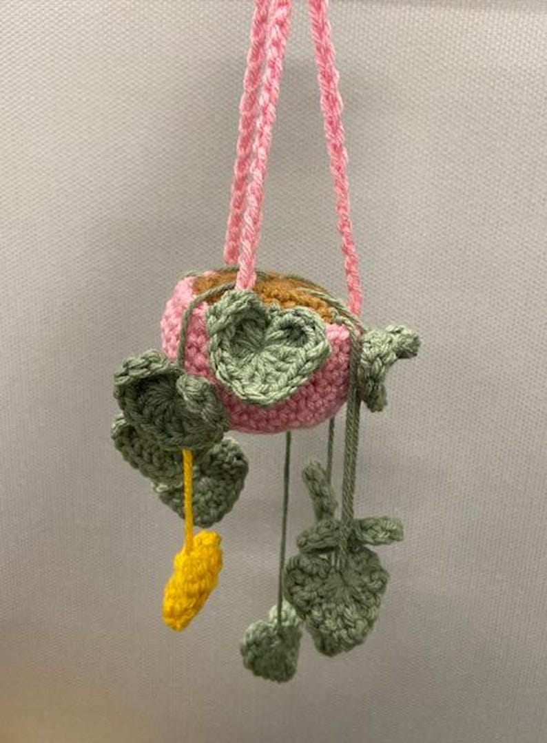 Hanging Heart Plant PDF Crochet Pattern Digital File - Etsy