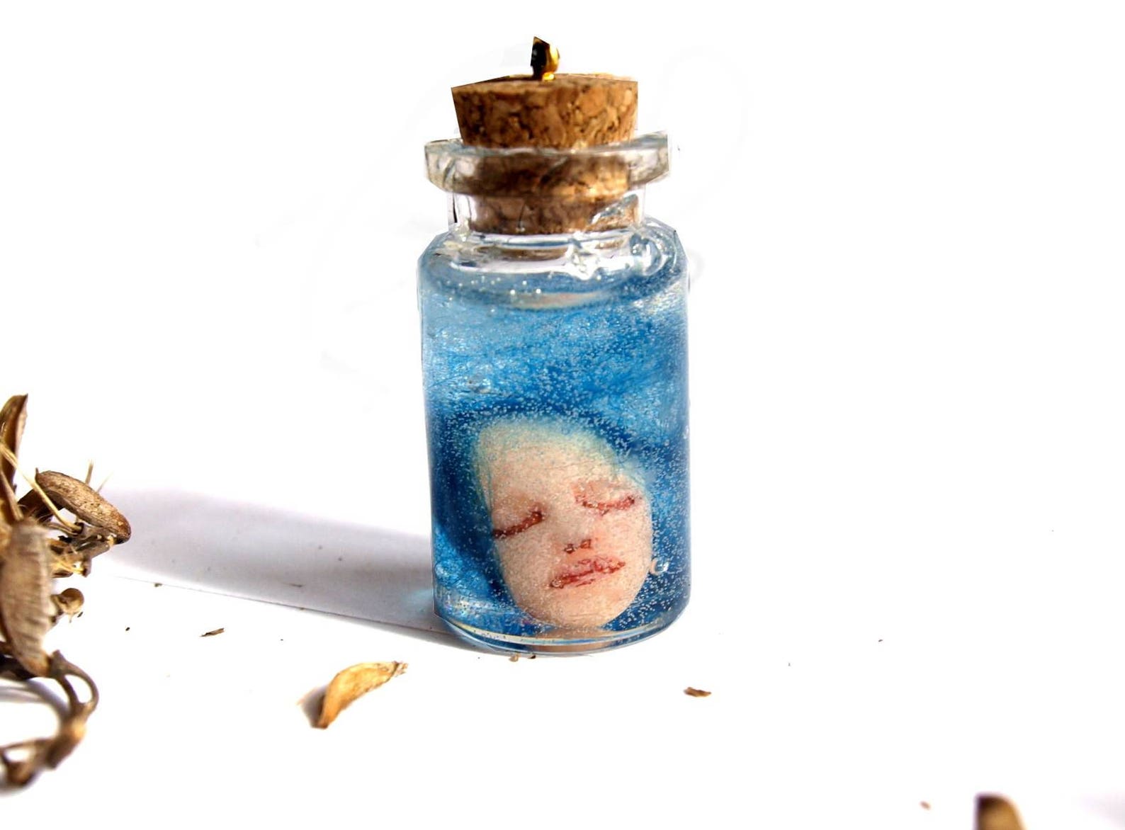 Shrunken head in a jar Weird gift Wet specimen Oddities | Etsy