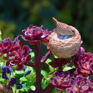 Bird Nest Fairy Garden Birds Miniature Birds Resin Bird - Etsy