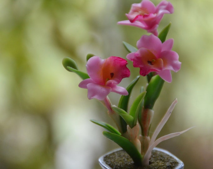Handcrafted Small Pink Dendrobium Orchid Dollhouse Miniature - Etsy