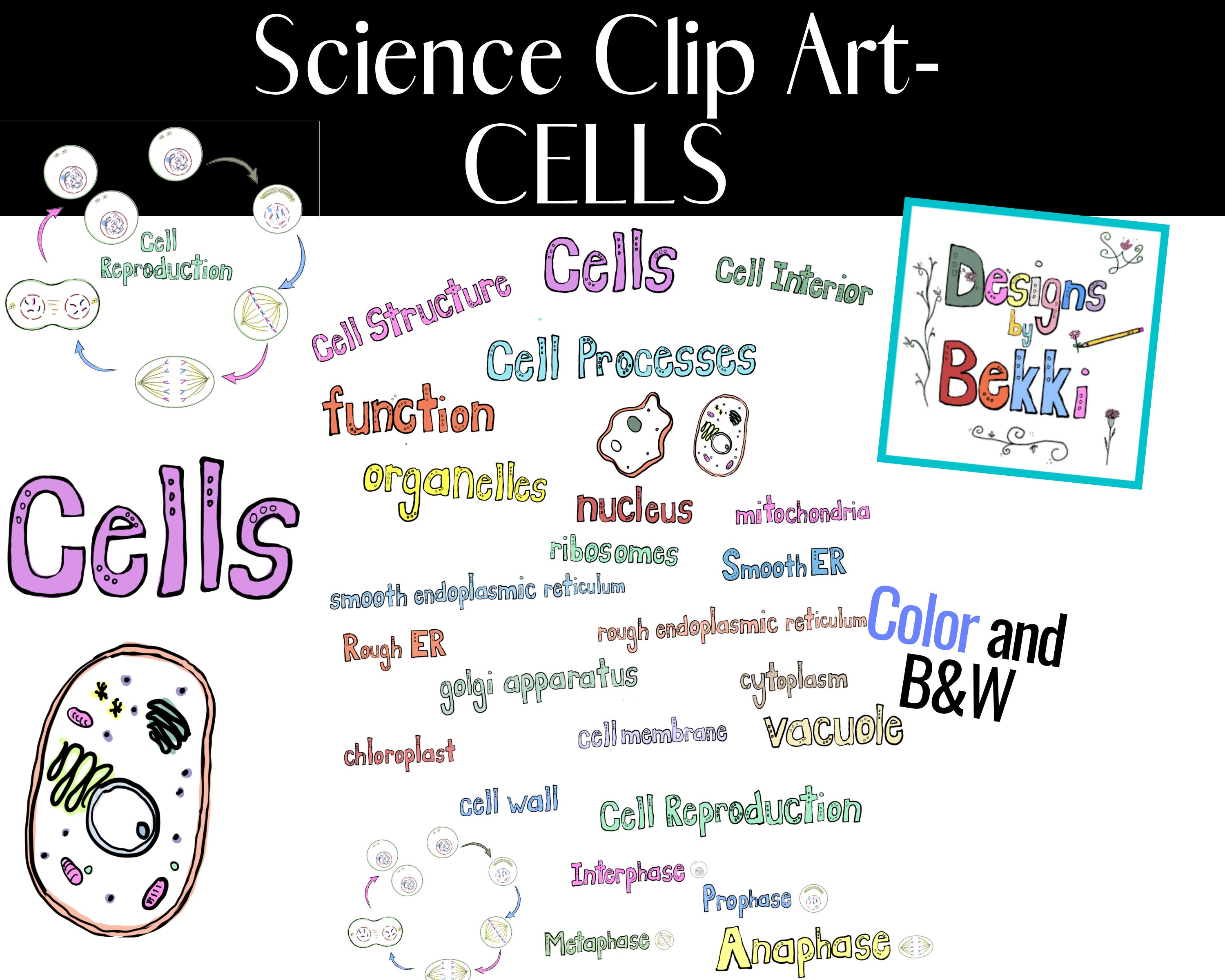 Science Clip Art CELLS Cell Cycle Mitosis Word Art for Teachers ...
