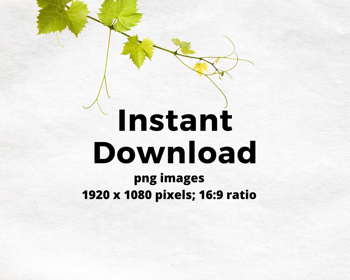 Simple Zoom Virtual Background Image - Etsy