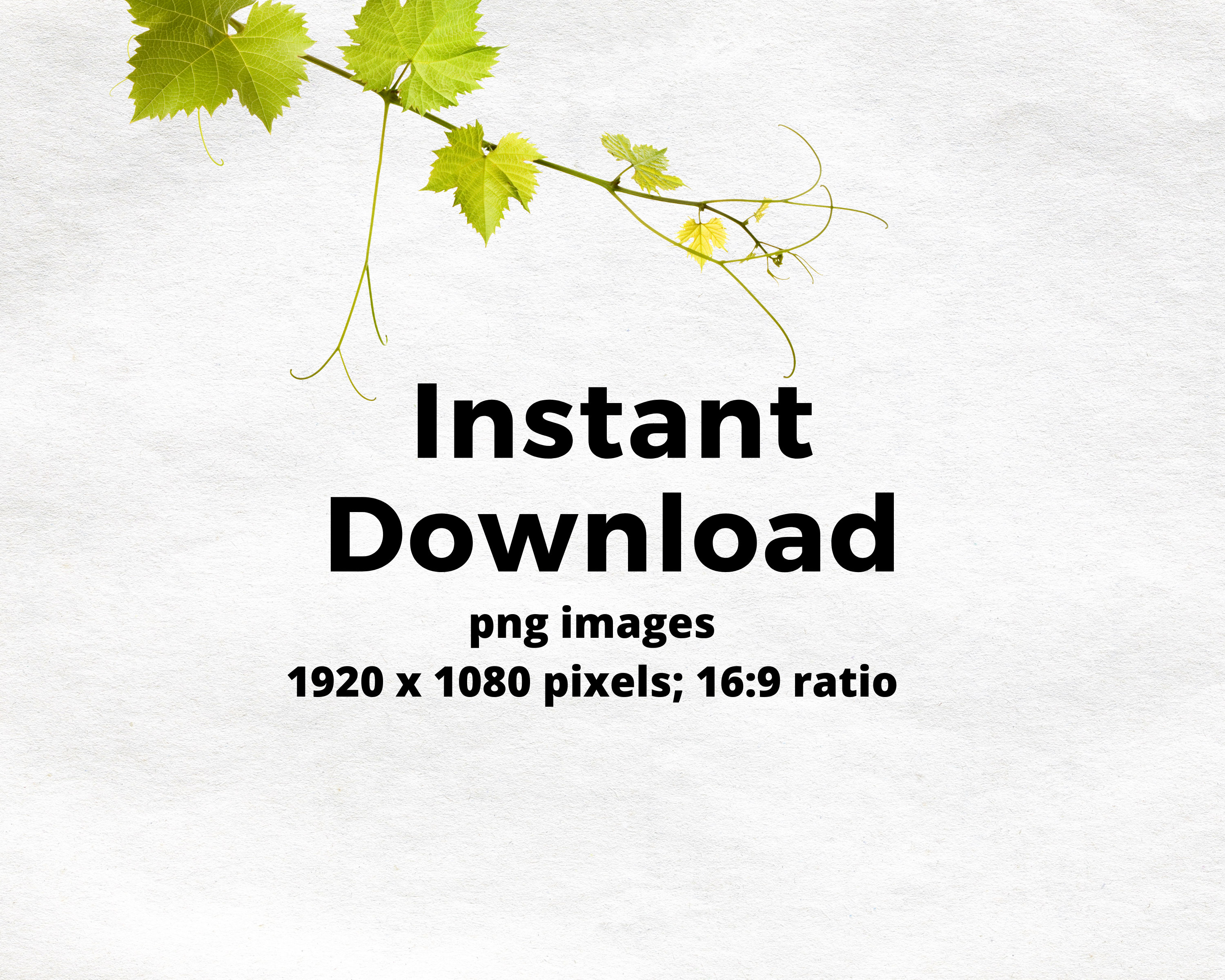 Fun Zoom Virtual Background Image, Zoom Meeting Background, Office ...