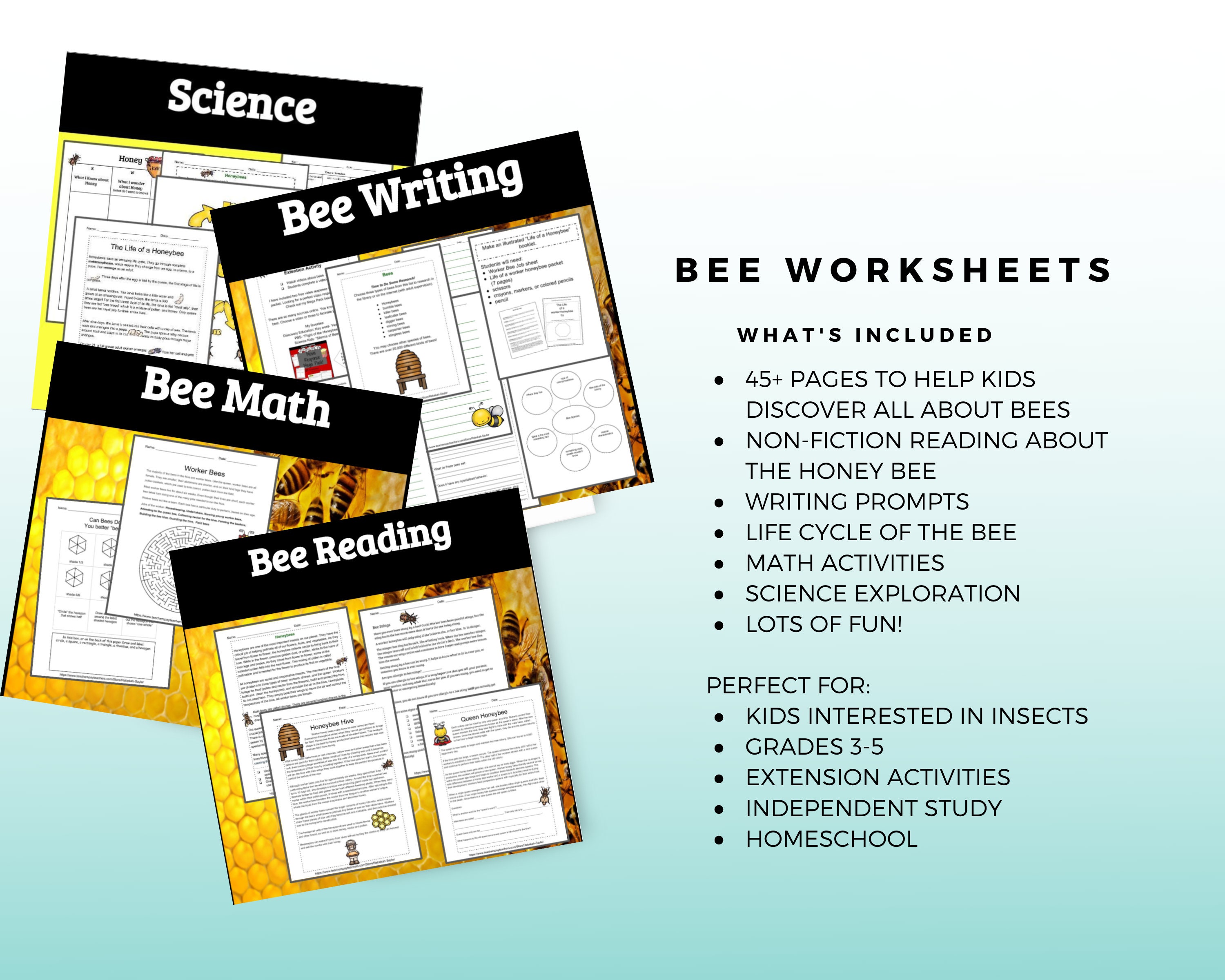 Life Cycle of a Bee Insect Worksheet Honeybee Printable Science for ...