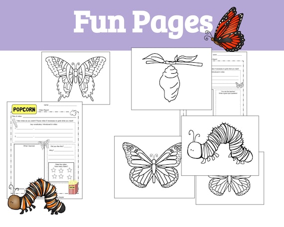 Hoja De Trabajo De Mariposa