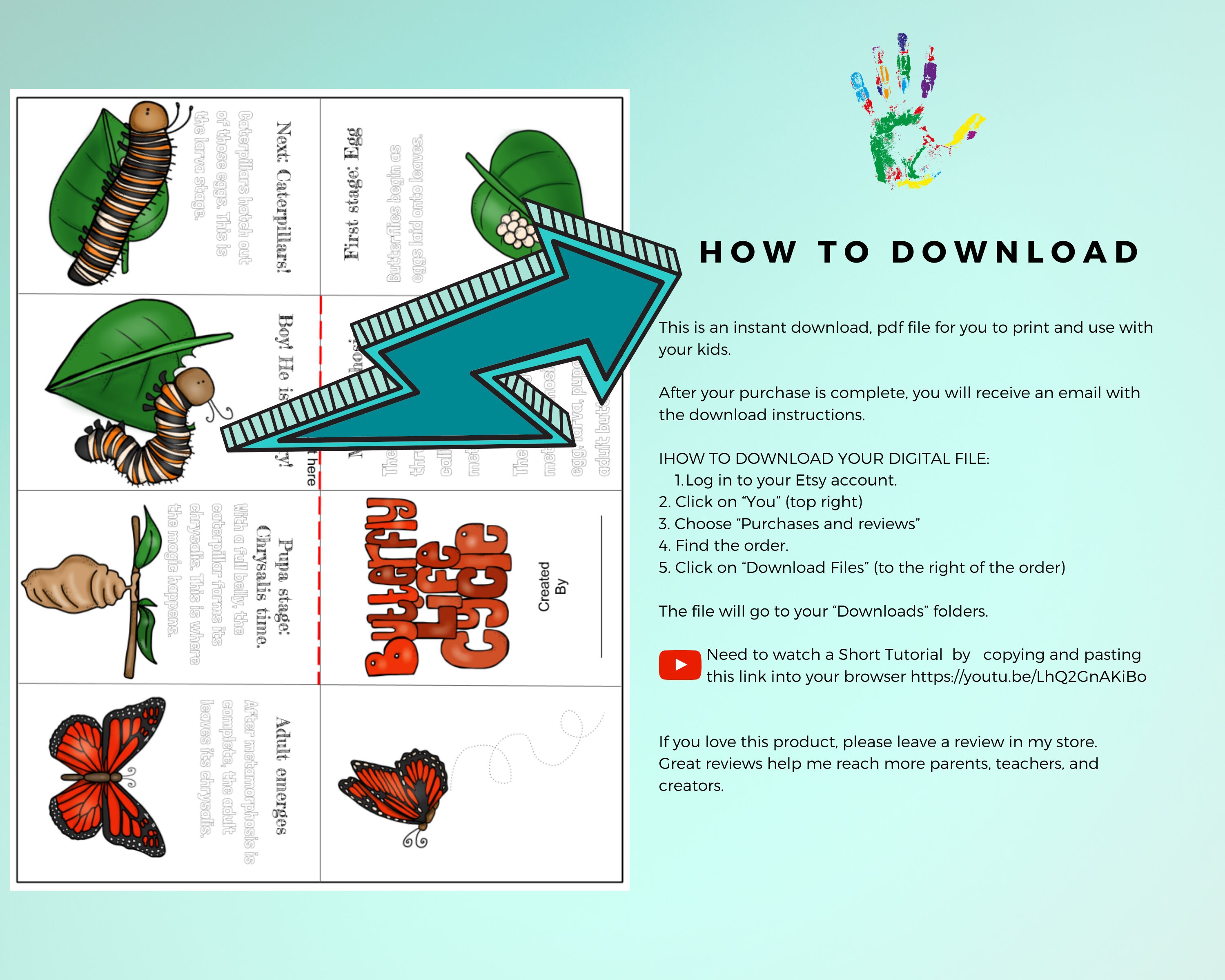 Life Cycle of a Butterfly Printable - Butterfly Life Cycle - Butterfly ...