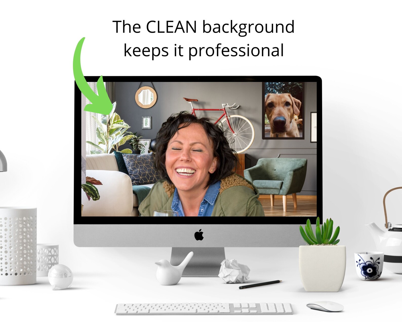 Zoom Cat Png, Zoom Virtual Background Image, Zoom Meeting Background ...