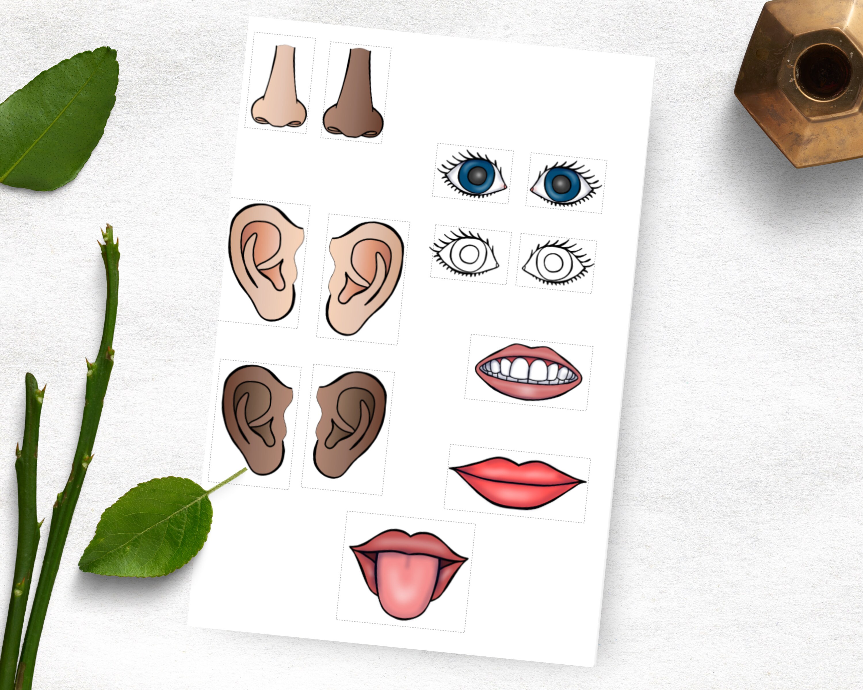 All About Me Activities for Preschool Body Part Activities for ...