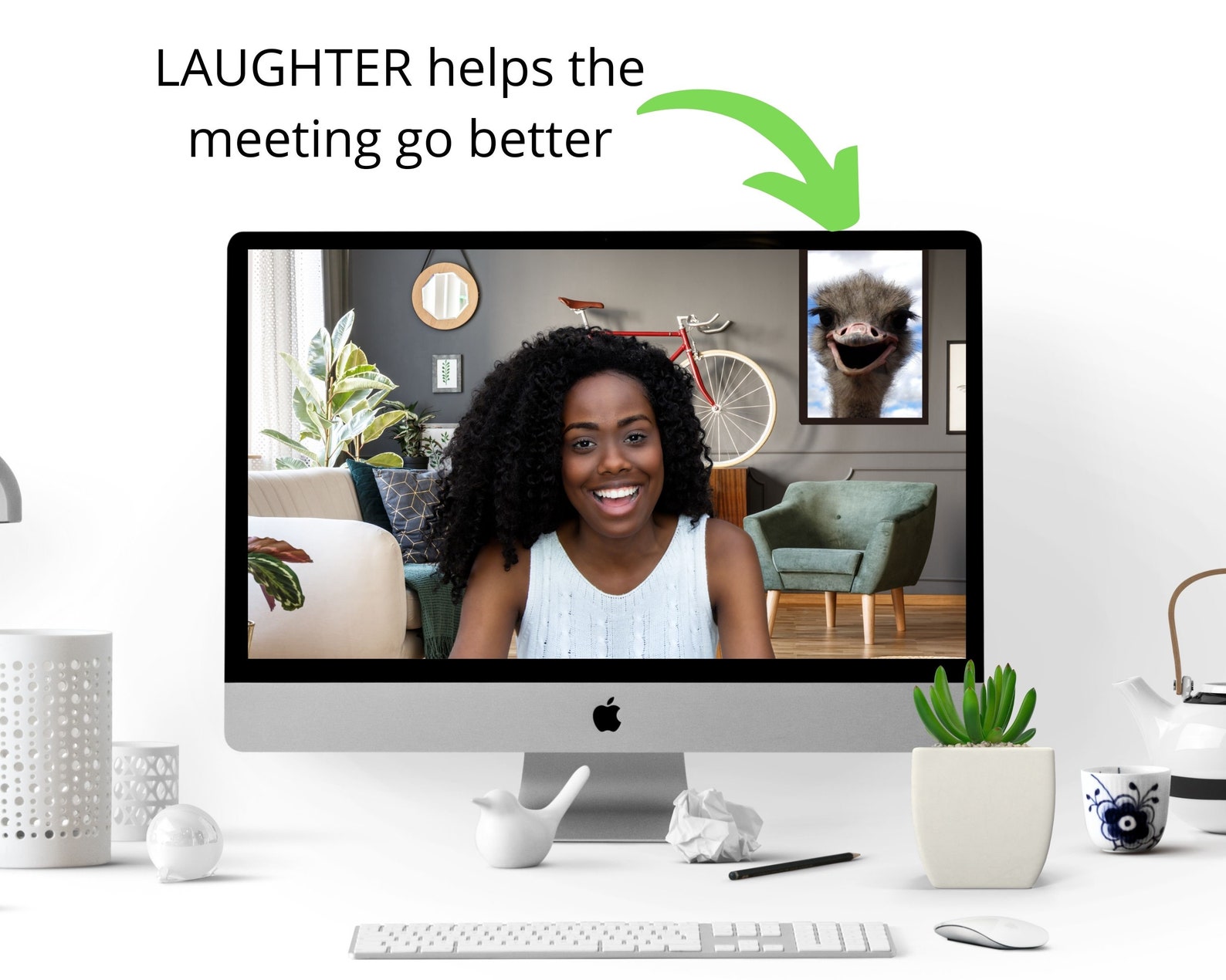 Zoom Cat Png, Zoom Virtual Background Image, Zoom Meeting Background ...