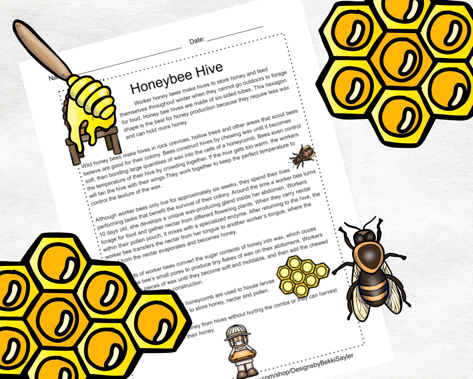 Life Cycle of a Bee Insect Worksheet Honeybee Printable Science for ...