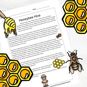 Life Cycle of a Bee- Insect Worksheet - Honeybee Printable - Science ...