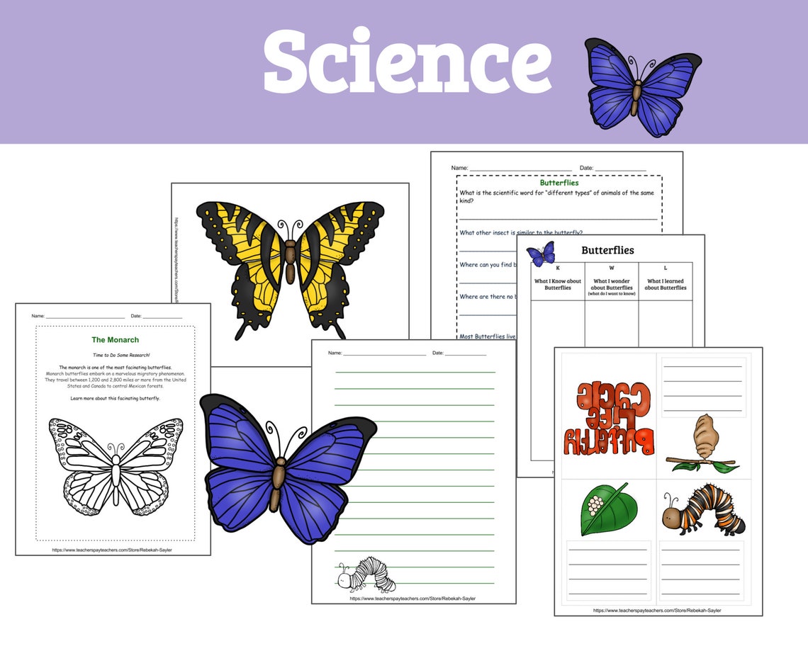 Butterfly Printable, Life Cycle of a Butterfly Printable, Life Cycle of ...