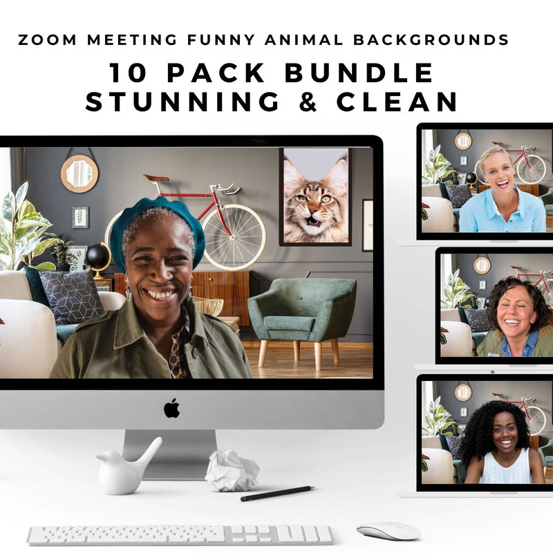 Cat Zoom Backdrop - Etsy
