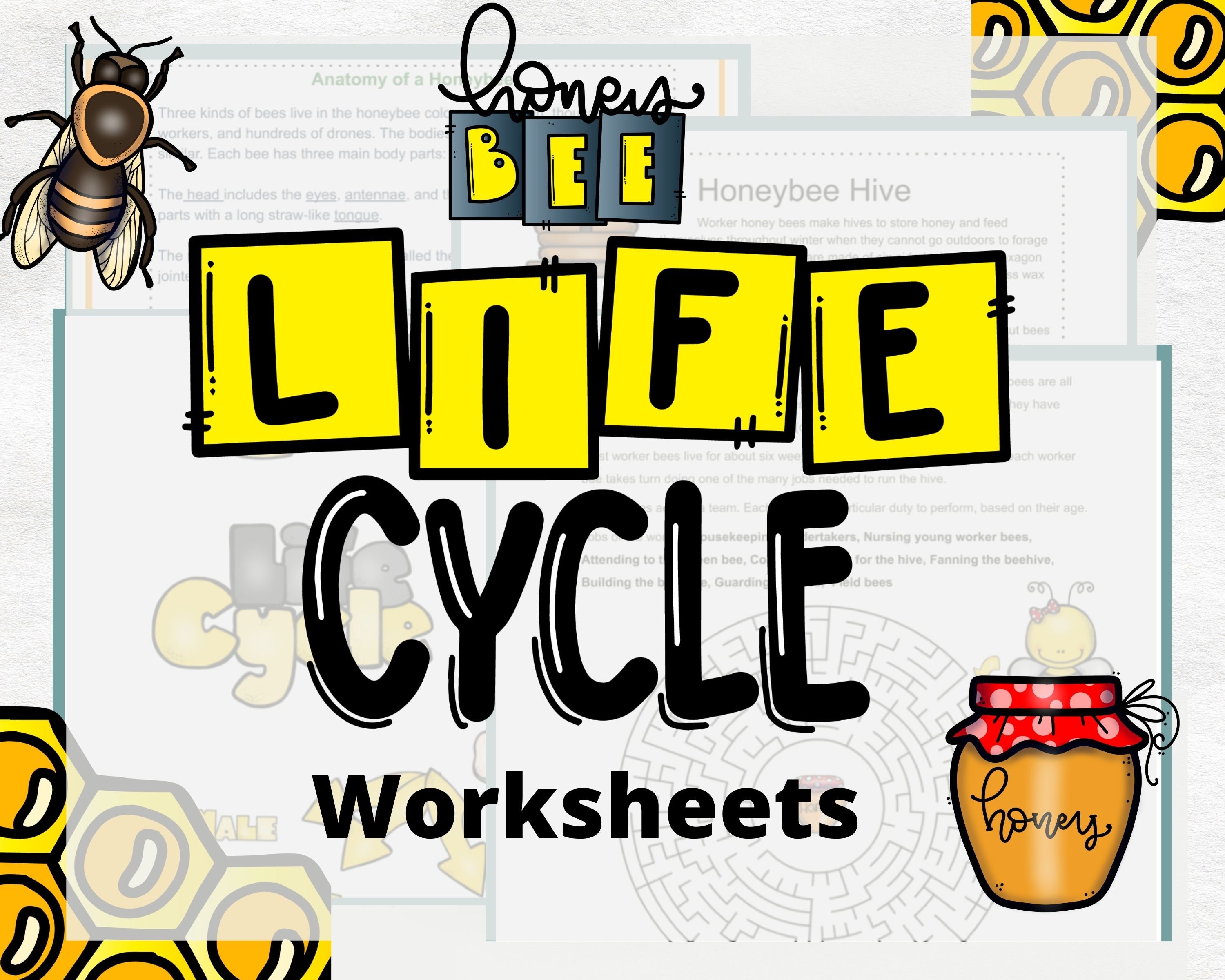 Life Cycle of a Bee- Insect Worksheet - Honeybee Printable - Science ...