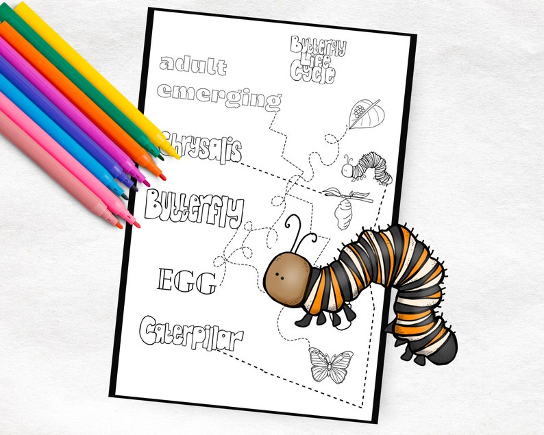 Life Cycle of a Butterfly Printable - Butterfly Life Cycle - Butterfly ...