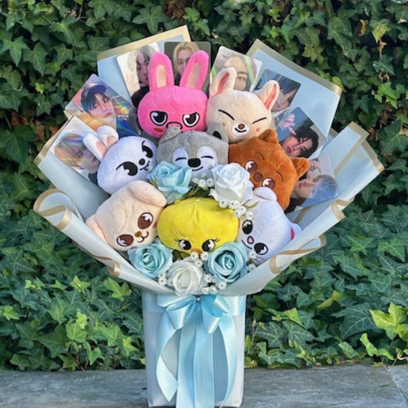Kpop Plush - Etsy