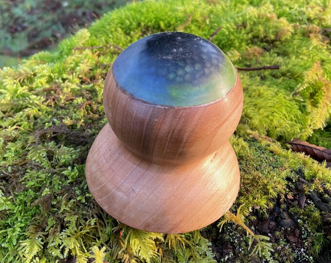 Wasp Nest Maple Print Baren - Etsy