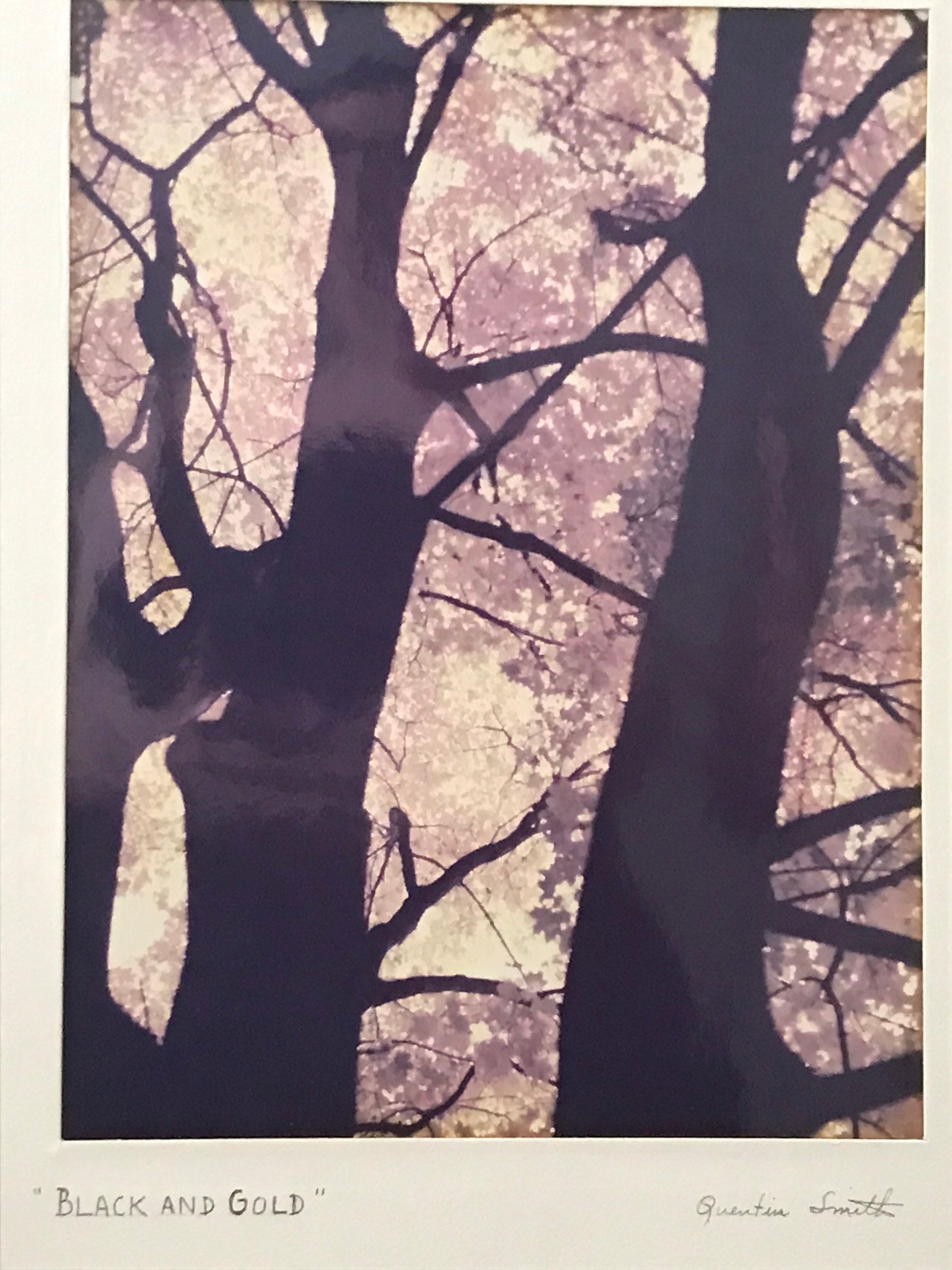Signed Photograph by Quentin Smith, Titled "black and Gold" - Etsy