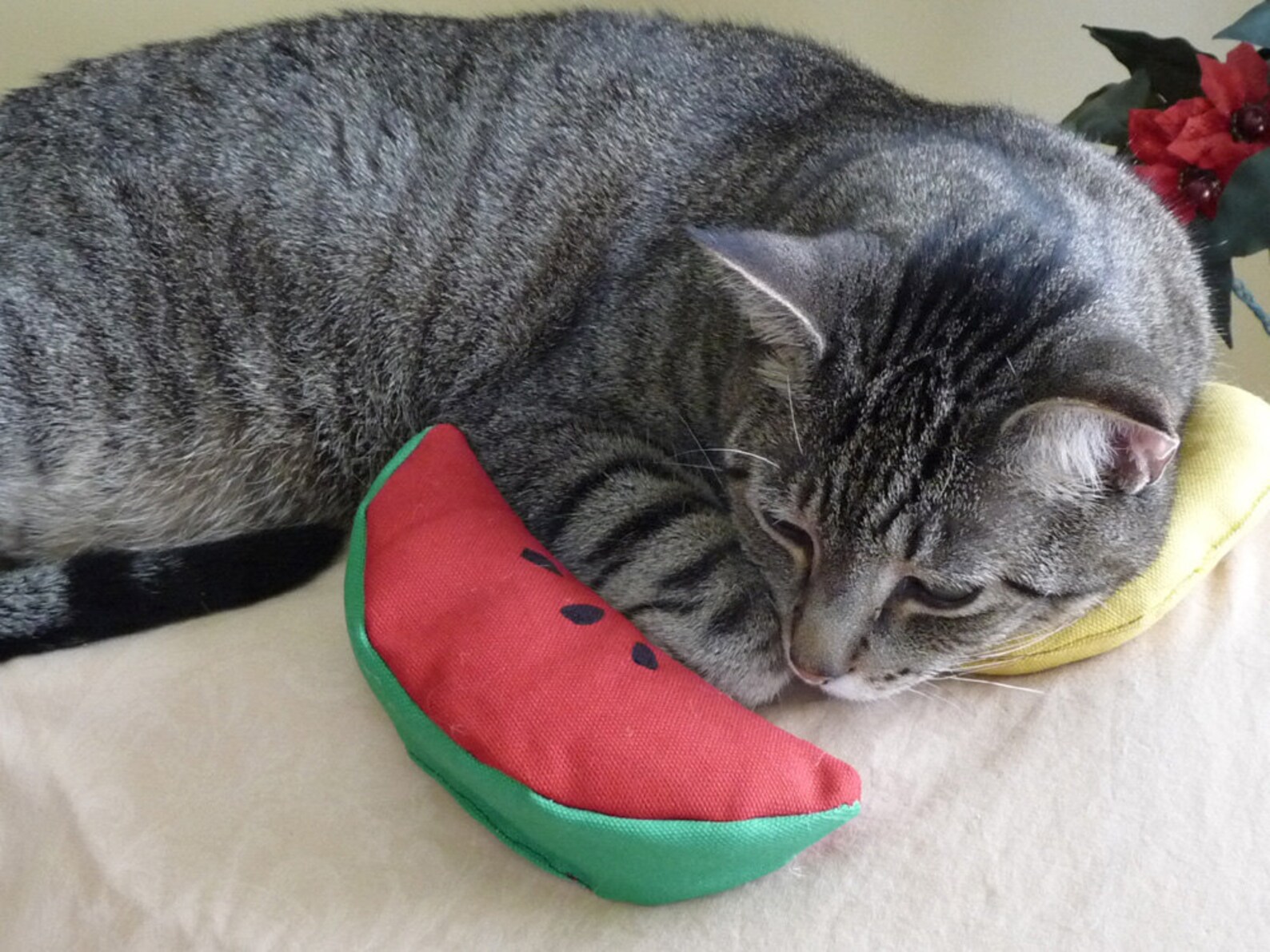 Watermelon Catnip Toy. - Etsy