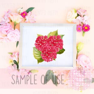 Hot Pink Hydrangeas Watercolor PNG - Grandmillennial Digital Art ...