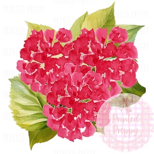 Hot Pink Hydrangeas Watercolor PNG - Grandmillennial Digital Art ...