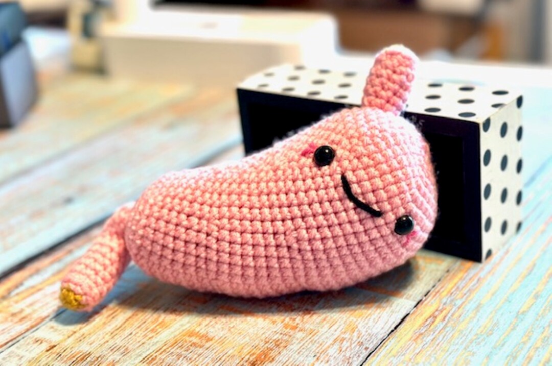 Crochet Stomach Plush, Kawaii Anatomy Organ Toy, Science Teacher Gift ...