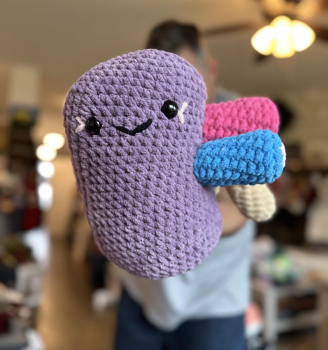 Jumbo Crochet Kidney Plush, Science Gift, Get Well Soon - Etsy