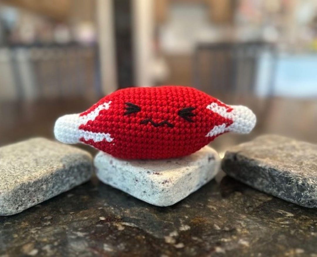 Crochet Muscle Plush, Funny Anatomy Teacher Gift - Etsy