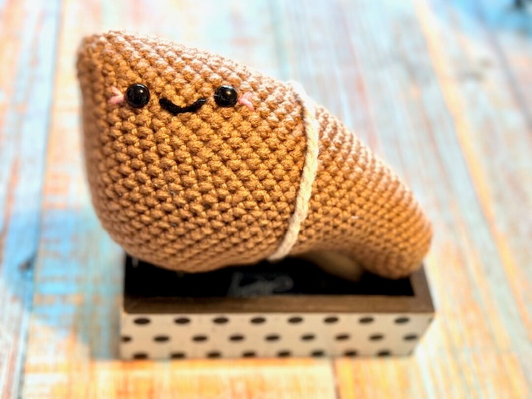 Plush Liver Toy, Amigurumi Organ, Crochet Biology Toy, Back to School ...