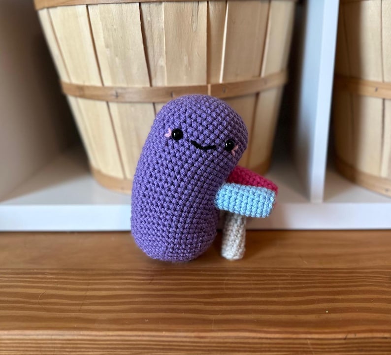 Plush Kidney Toy, Amigurumi Organ, Crochet Biology Toy, Gift for ...