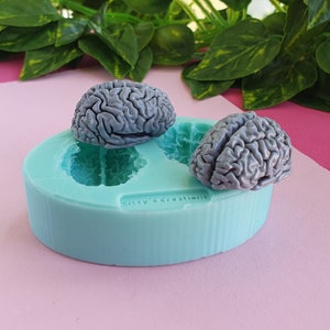 Realistic Brain Mold, 3 Cm, for Epoxy Resin, Polymer Clay. Wax, Soap ...