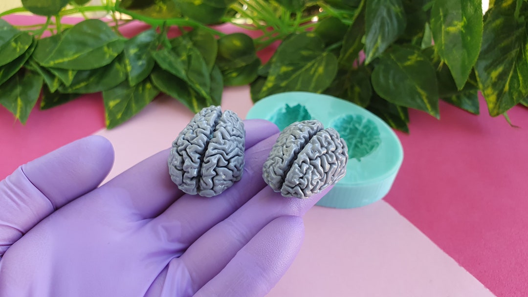 Realistic Brain Mold, 3 Cm, for Epoxy Resin, Polymer Clay. Wax, Soap ...
