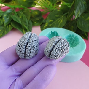 Realistic Brain Mold, 3 Cm, for Epoxy Resin, Polymer Clay. Wax, Soap ...