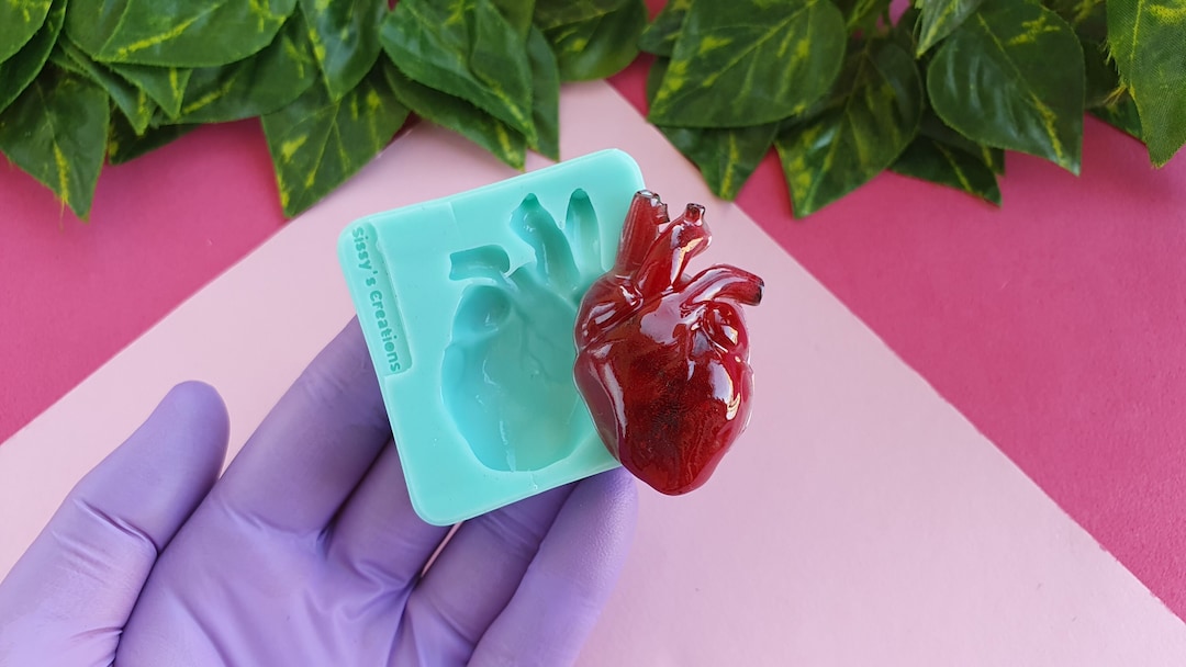Realistic Anatomical Heart Mold, 5 Cm, for Epoxy Resin, Polymer Clay ...