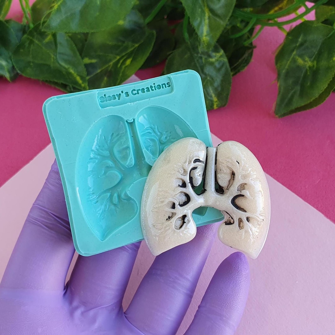 Human Lung 3D Mold, 4 Cm, for Epoxy Resin, Polymer Clay. Wax, Soap ...
