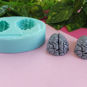 Realistic Brain Mold, 3 Cm, for Epoxy Resin, Polymer Clay. Wax, Soap ...