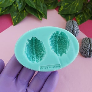 Realistic Brain Mold, 3 Cm, for Epoxy Resin, Polymer Clay. Wax, Soap ...