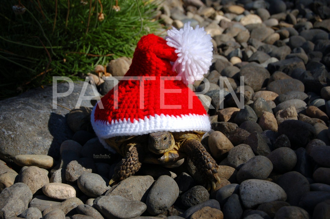 NEW Crochet PATTERN Instructions for Santa Hat Cozy for Tortoises - Etsy