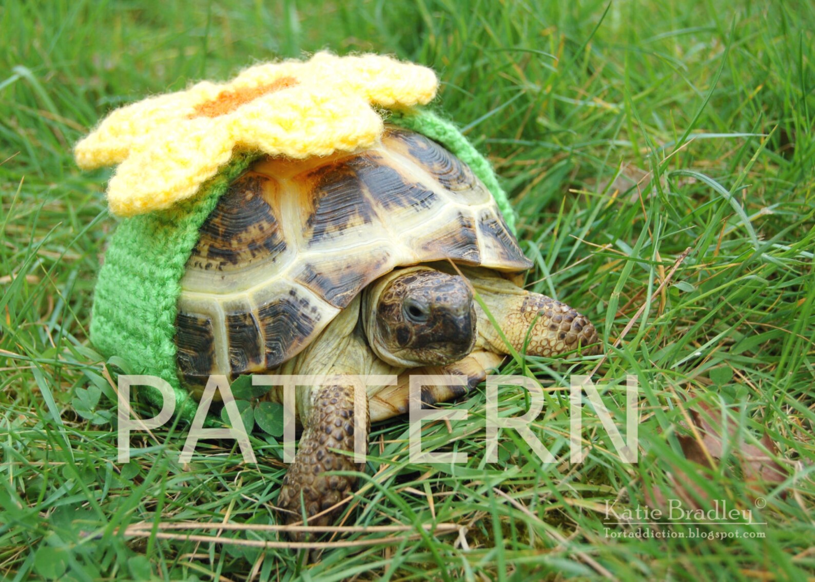PATTERN for Tortoise Flower | Etsy