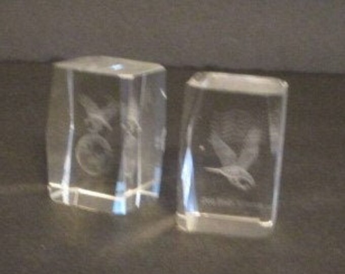 Clear Glass Paperweight Block With Laser 3D Etched Bald Eagle, Set of 2 ...