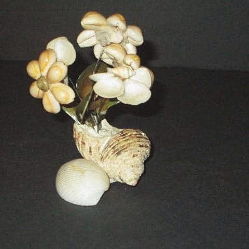 Shell Arrangements - Etsy