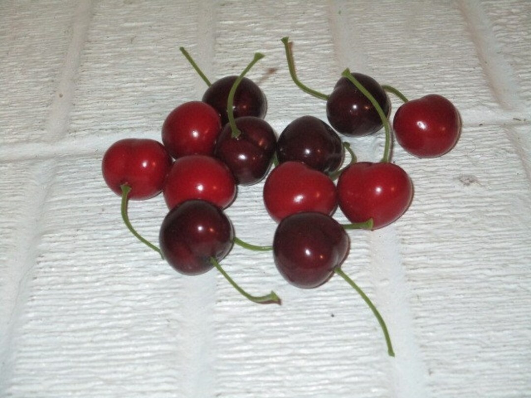 Faux Cherries, Individual Cherries, Farmhouse Bowl Filler, Choice of ...