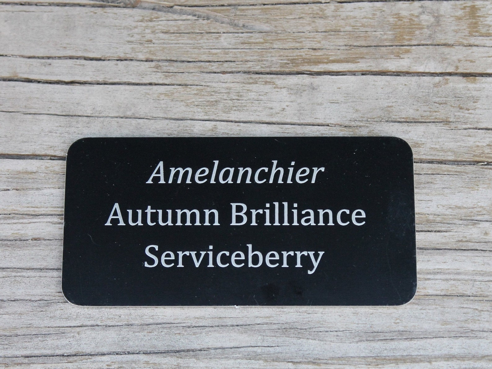 Outdoor Metal Plaque, Engraved With Your Custom Text, Multiple Sizes - Etsy