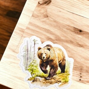 Bear Sticker Vinyl Sticker Waterproof Sticker Bear Wildlife - Etsy