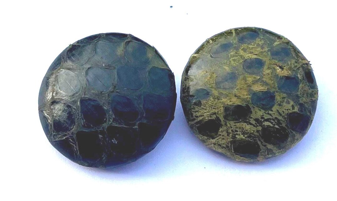 Vintage Snakeskin Button Pair - Etsy