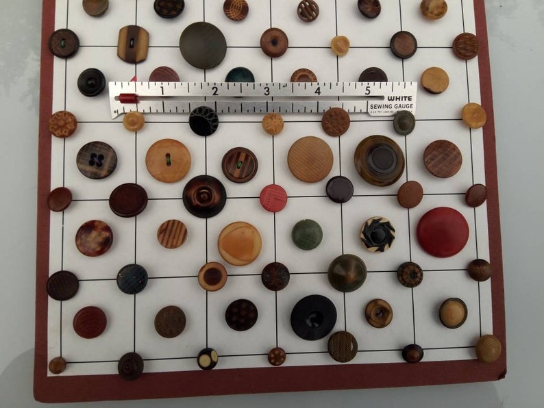 Card of Fancy Vintage Vegetable Ivory/tagua Buttons - Etsy